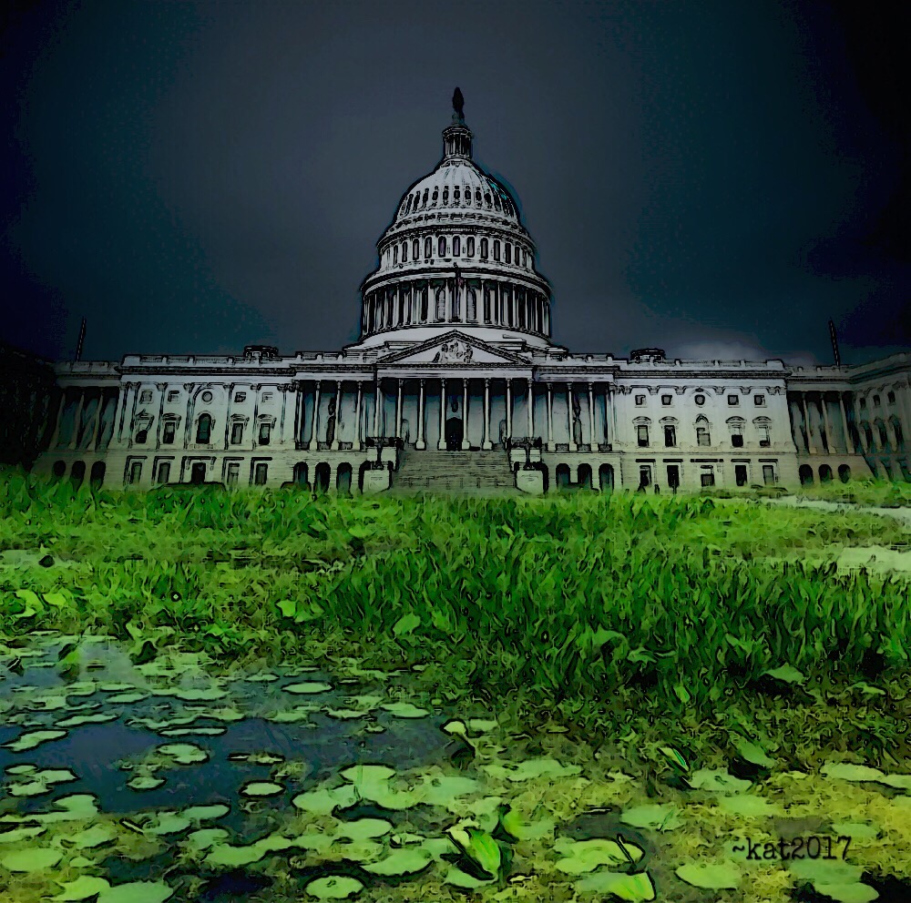 Drain The Swamp | like mercury colliding...