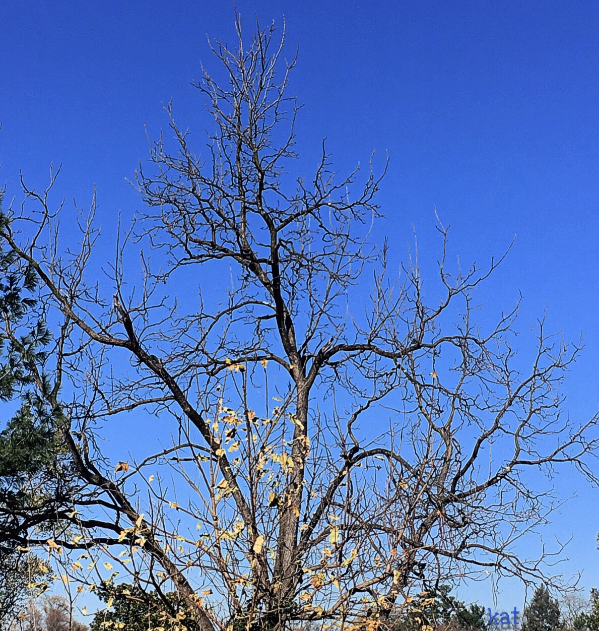 Spring’s Awakening | like mercury colliding...