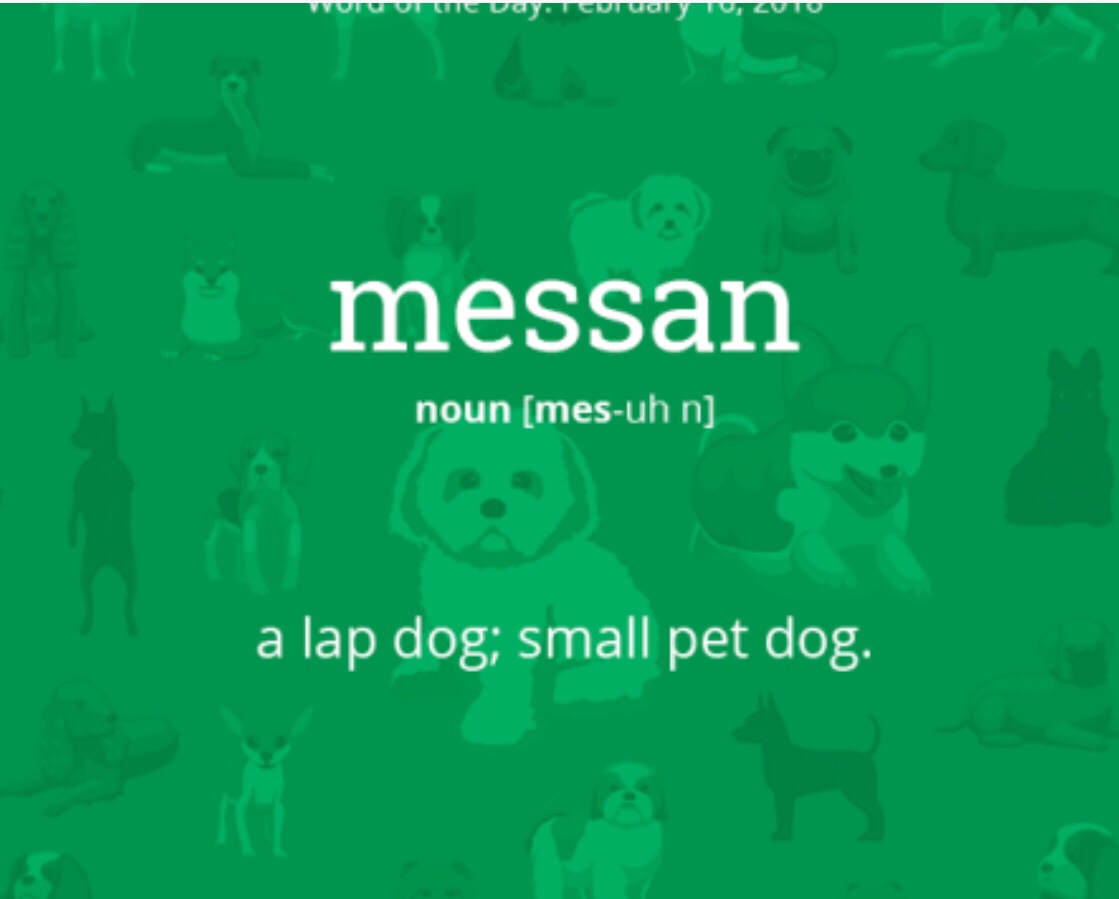 Messan – Friday’s Word of the Day | like mercury colliding...