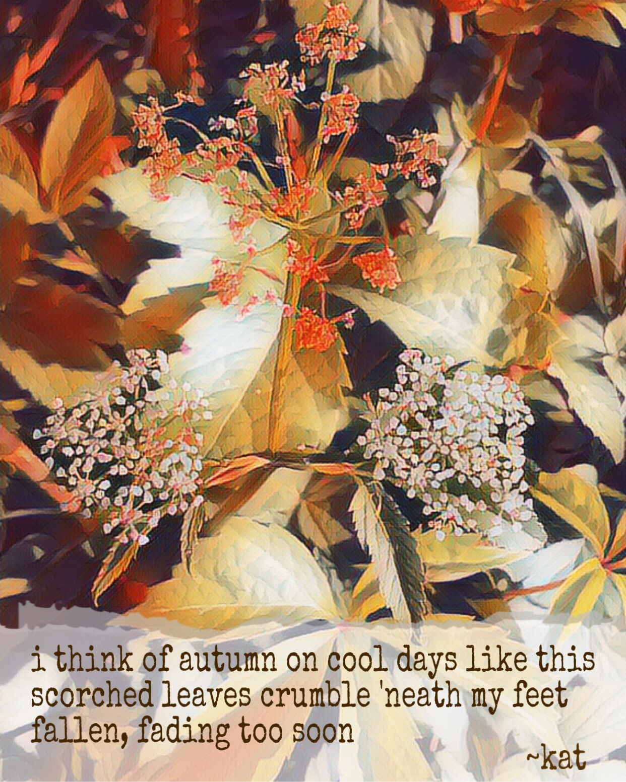 Kimo Day 25 | like mercury colliding...