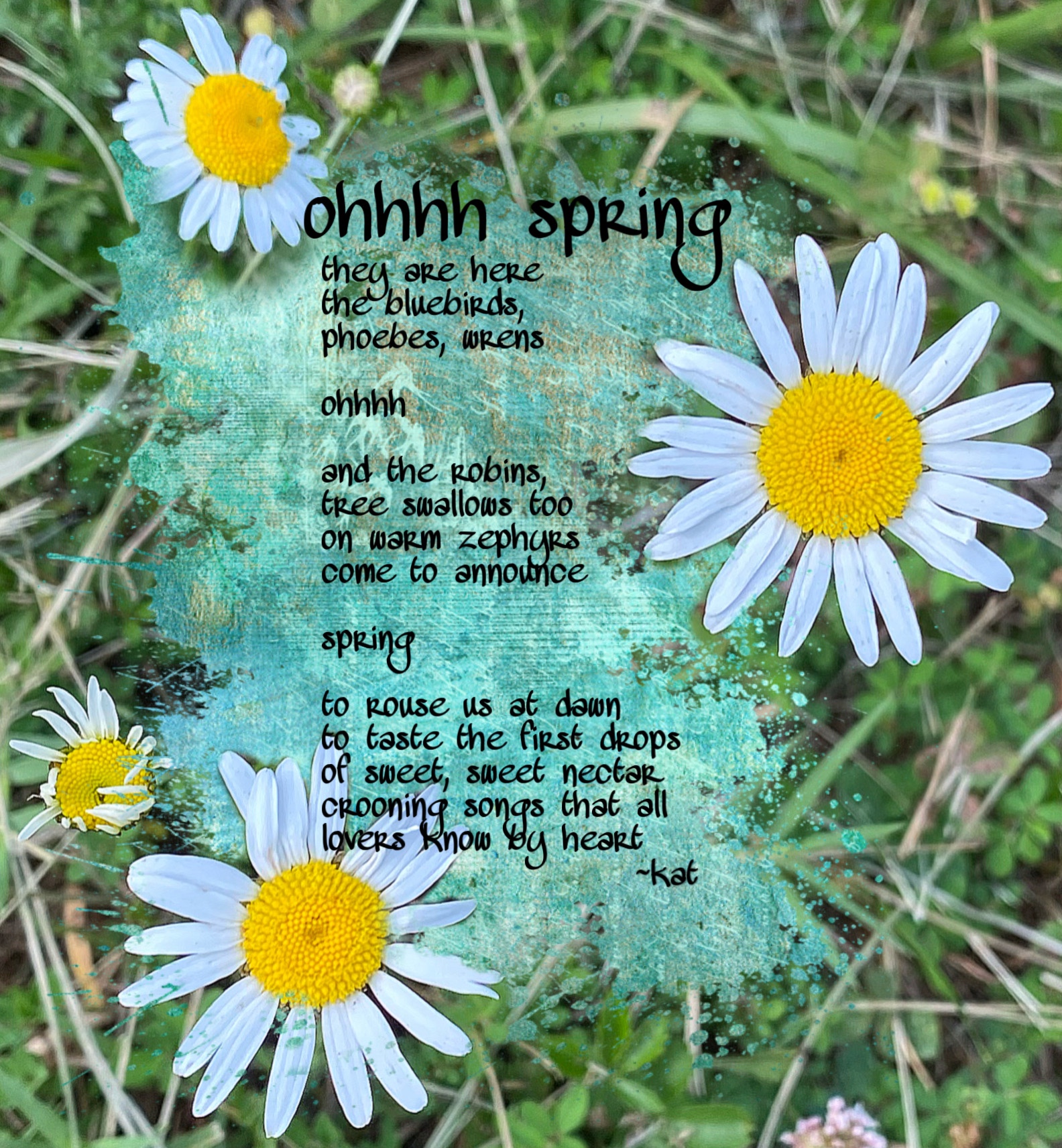 ohhhh spring | like mercury colliding...