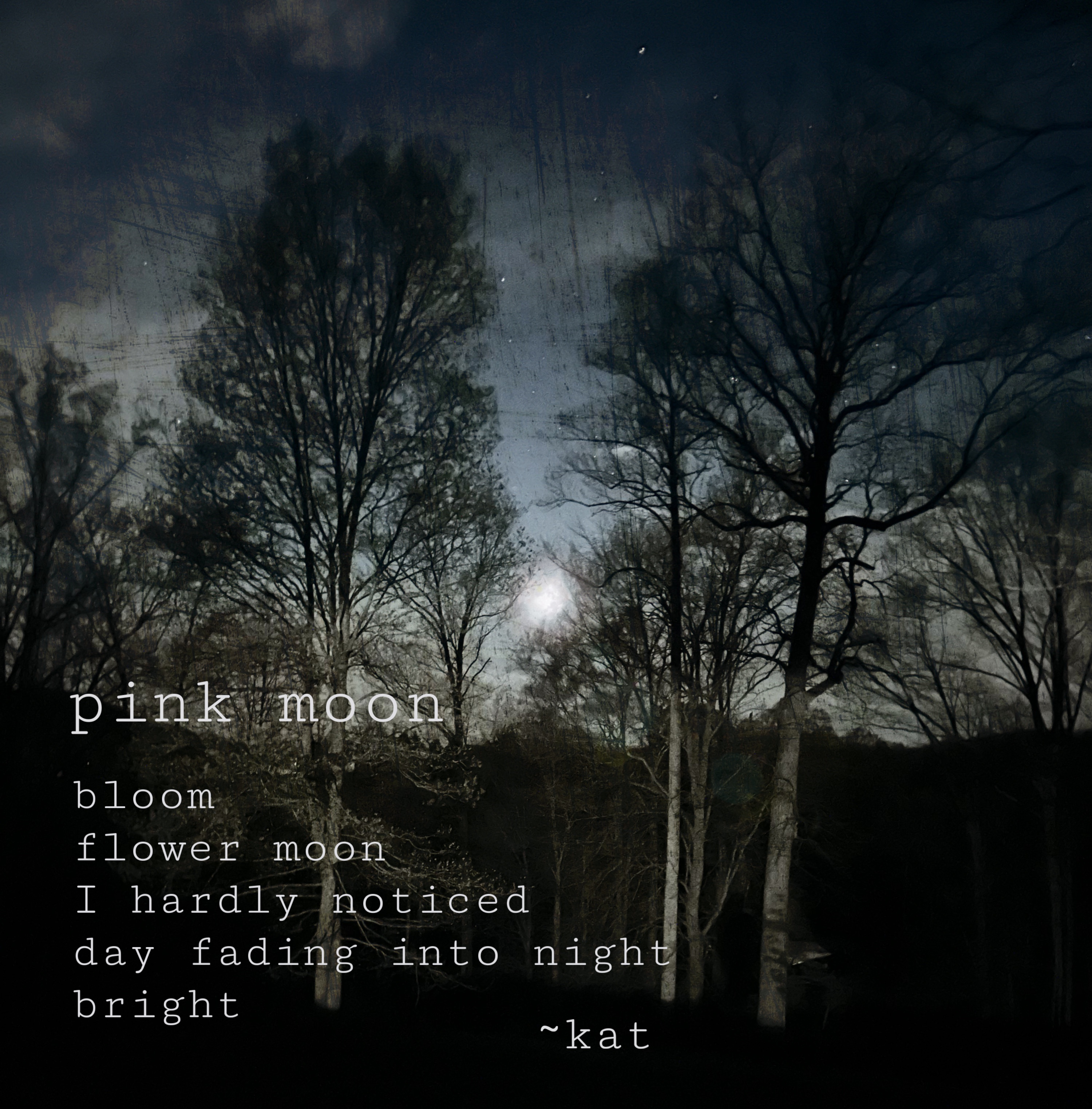 pink moon | like mercury colliding...