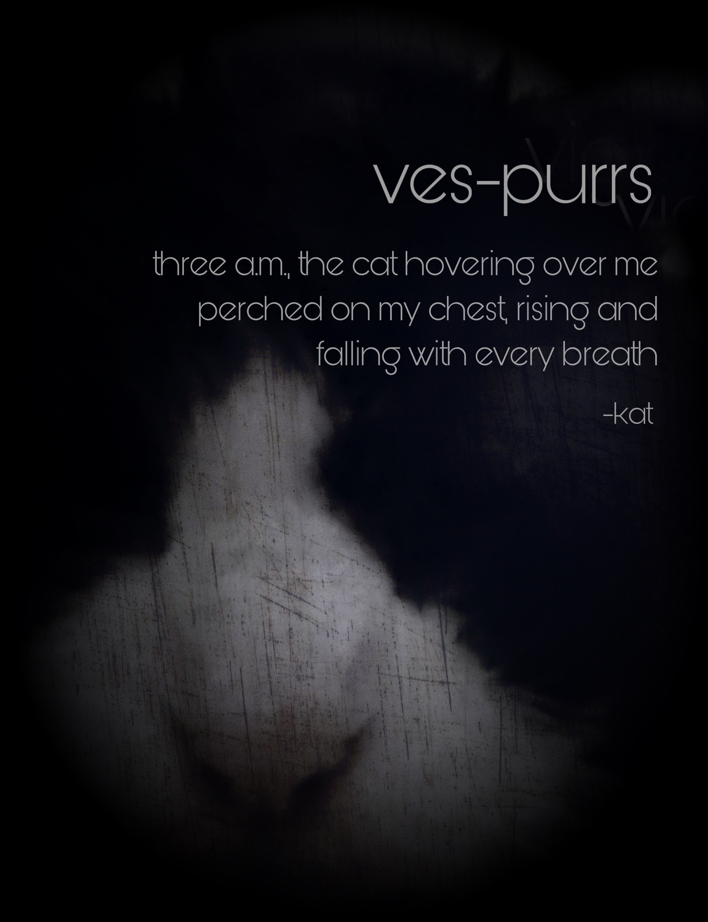 ves-purrs | like mercury colliding...