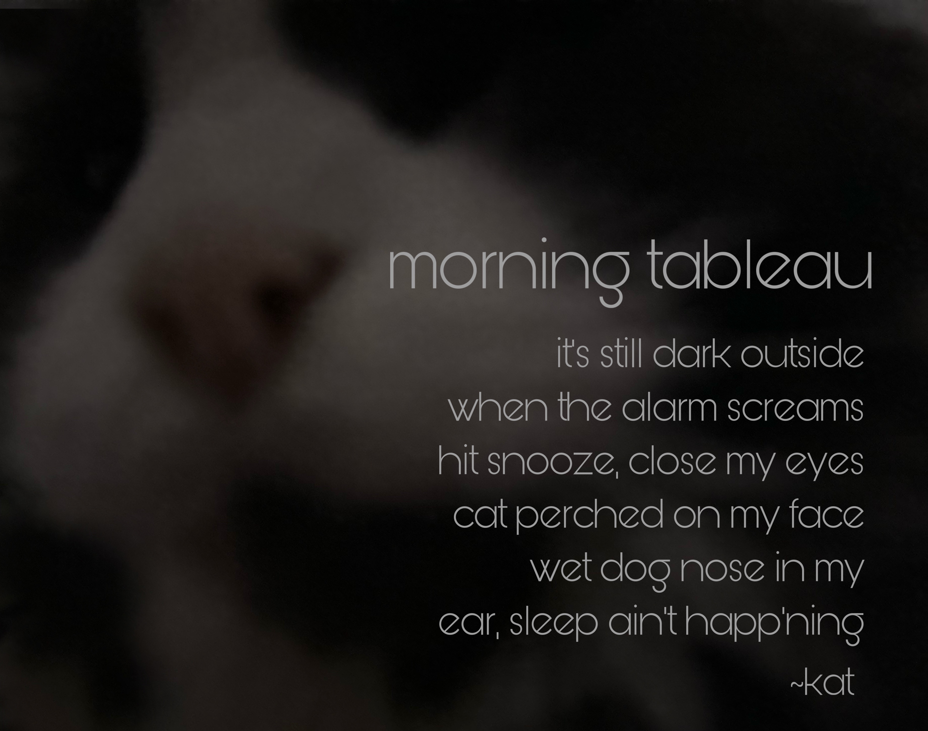morning tableau | like mercury colliding...