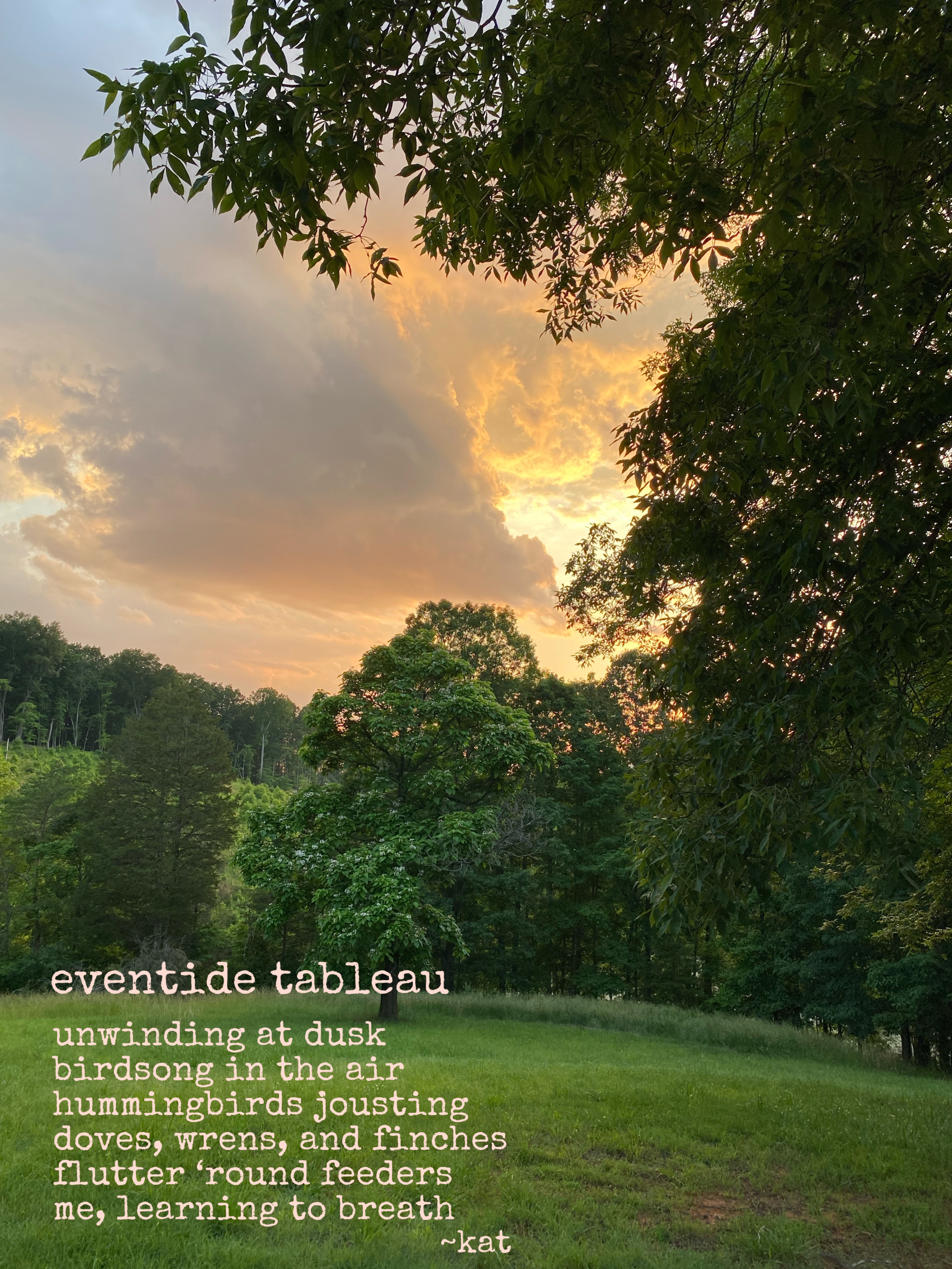 eventide tableau | like mercury colliding...