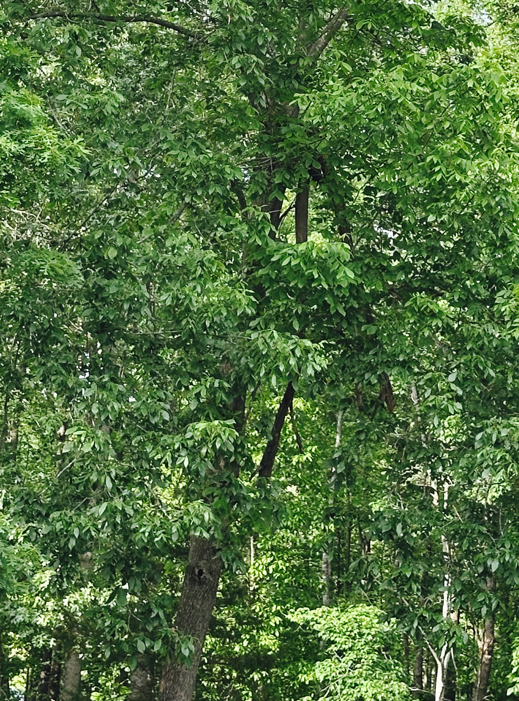 day 134 | like mercury colliding...