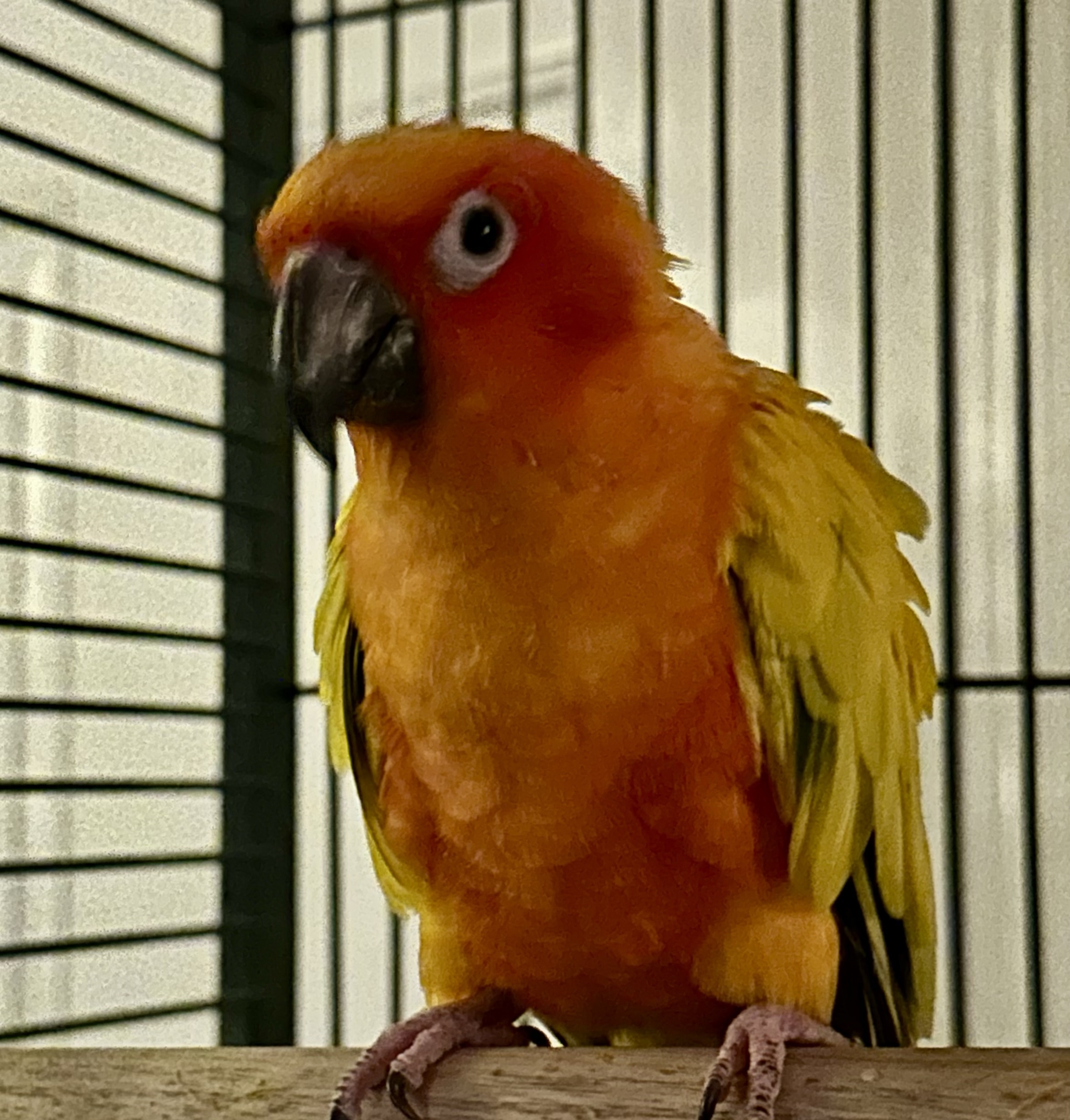 day 142 | like mercury colliding...