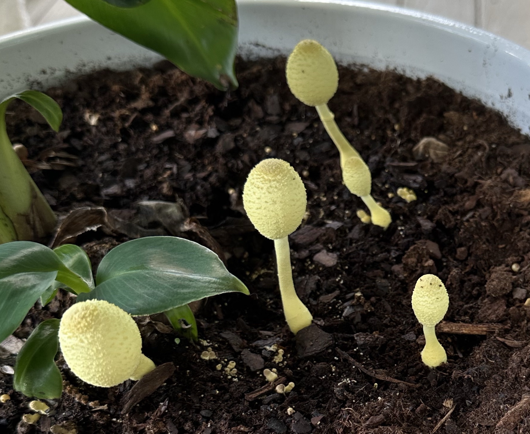 day 179 | like mercury colliding...