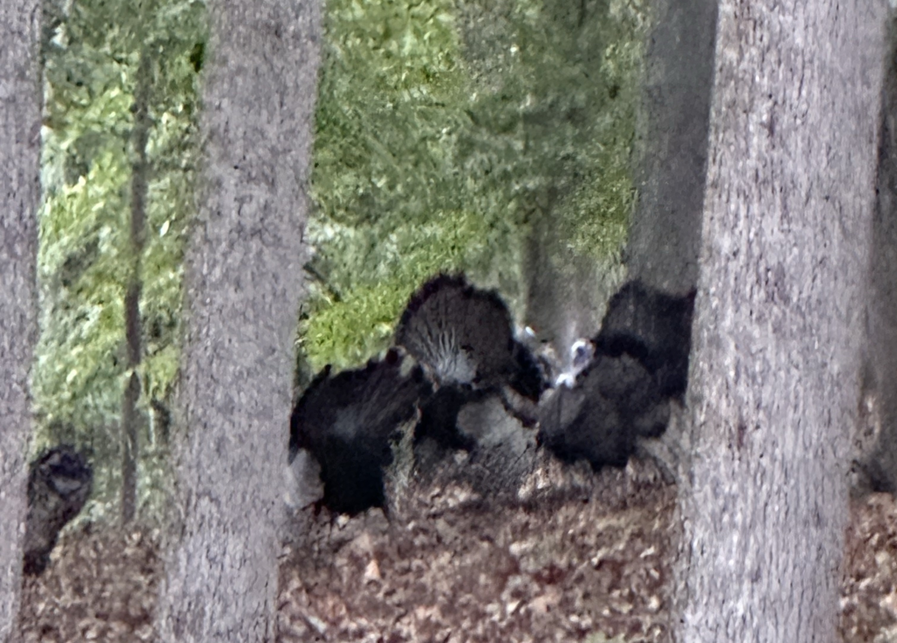 day 261 | like mercury colliding...