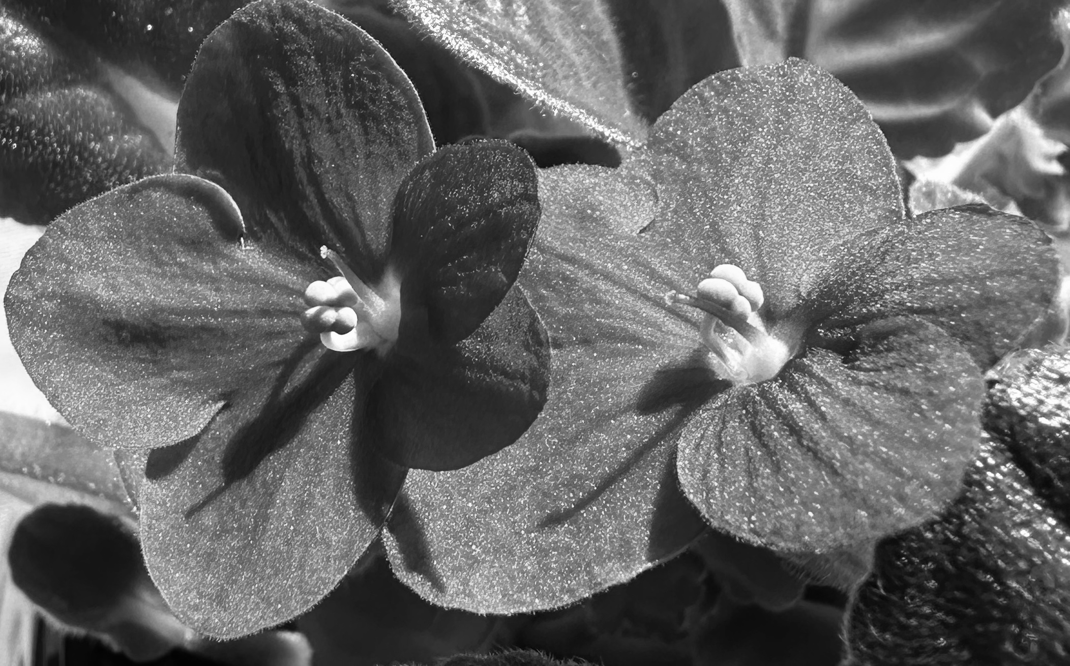 day 256 ~a ReVerse Poem ~14 September 2025 | like mercury colliding...