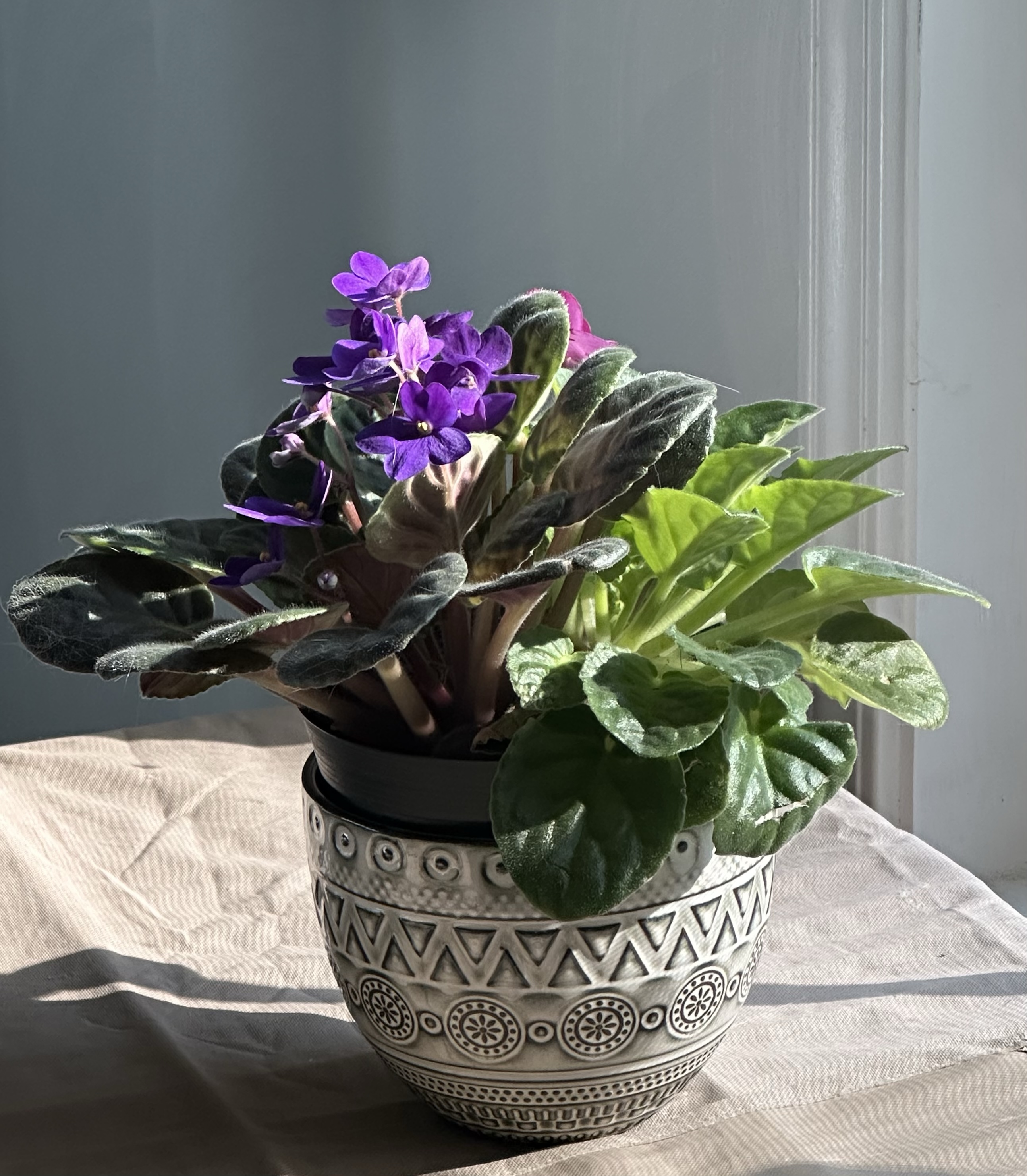 day 251 | like mercury colliding...