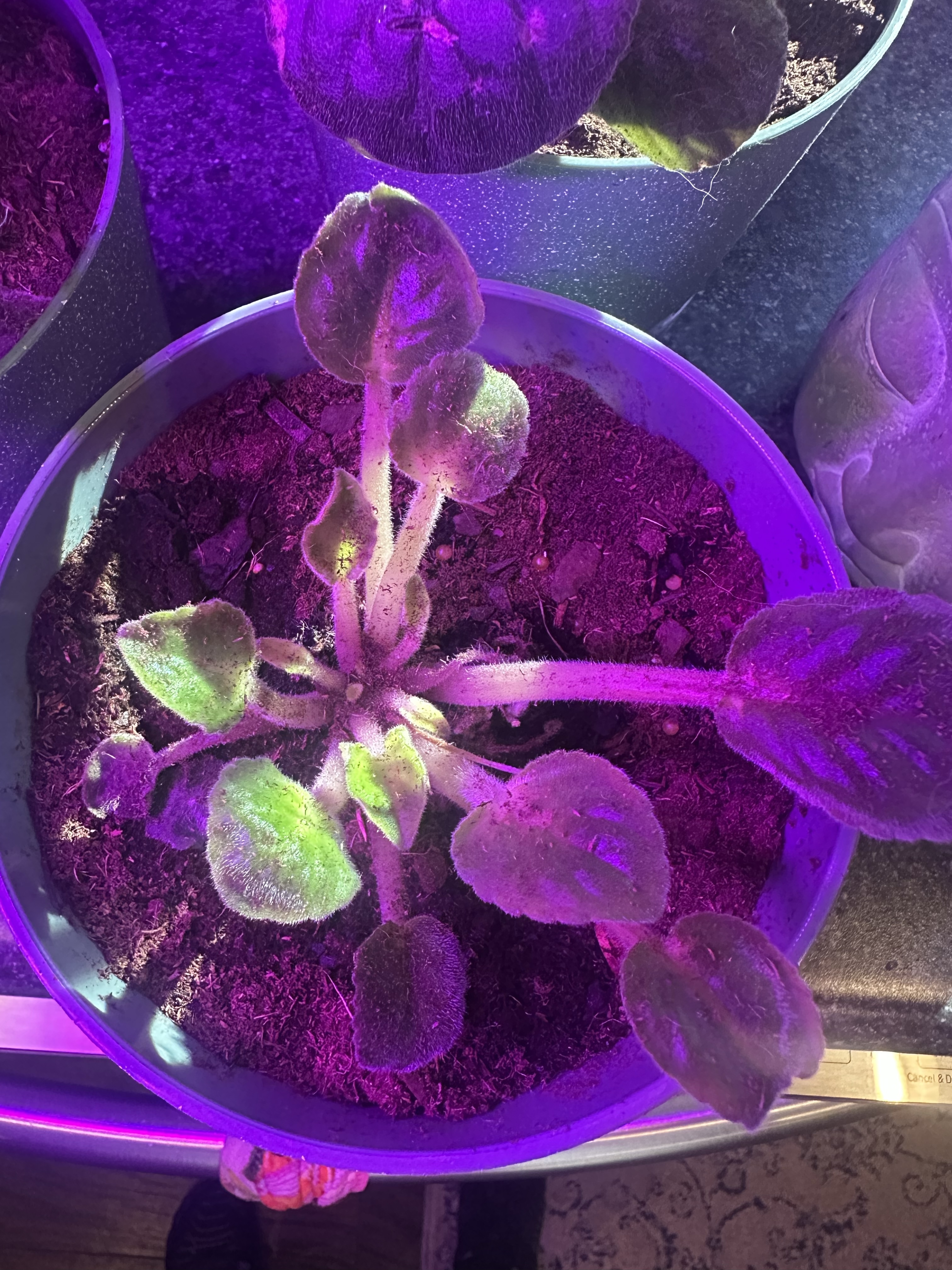 day 292 | like mercury colliding...