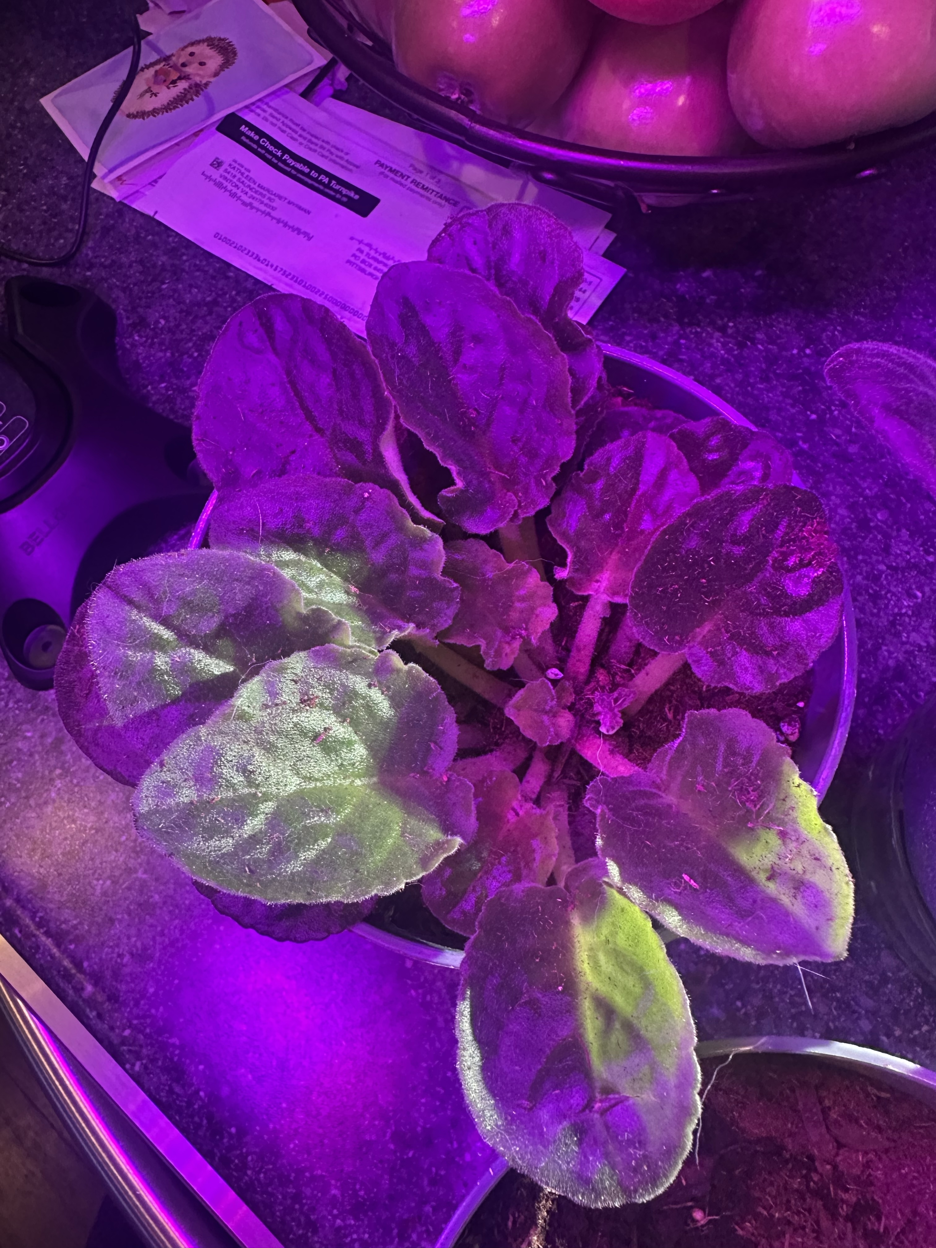 day 292 | like mercury colliding...