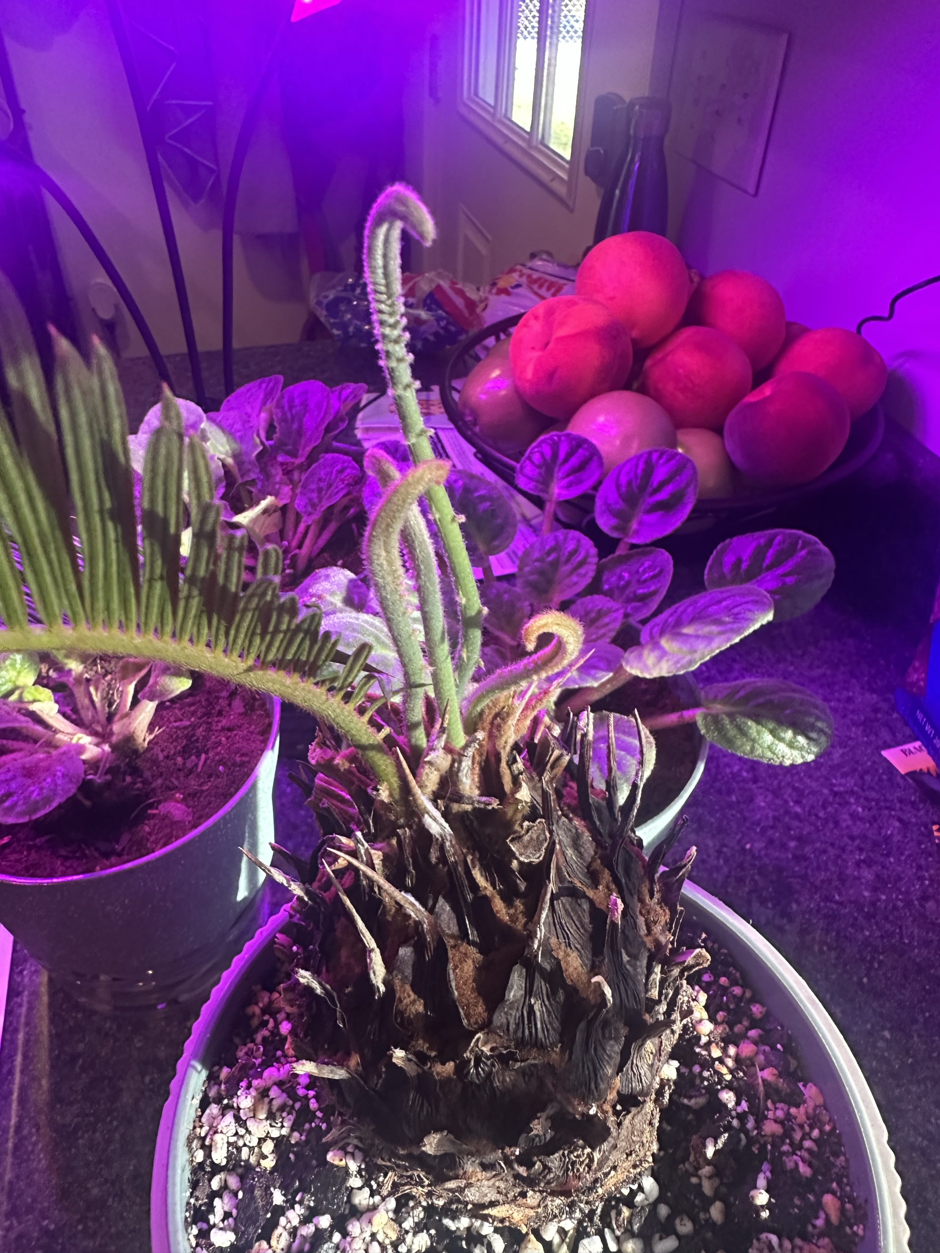 day 292 | like mercury colliding...