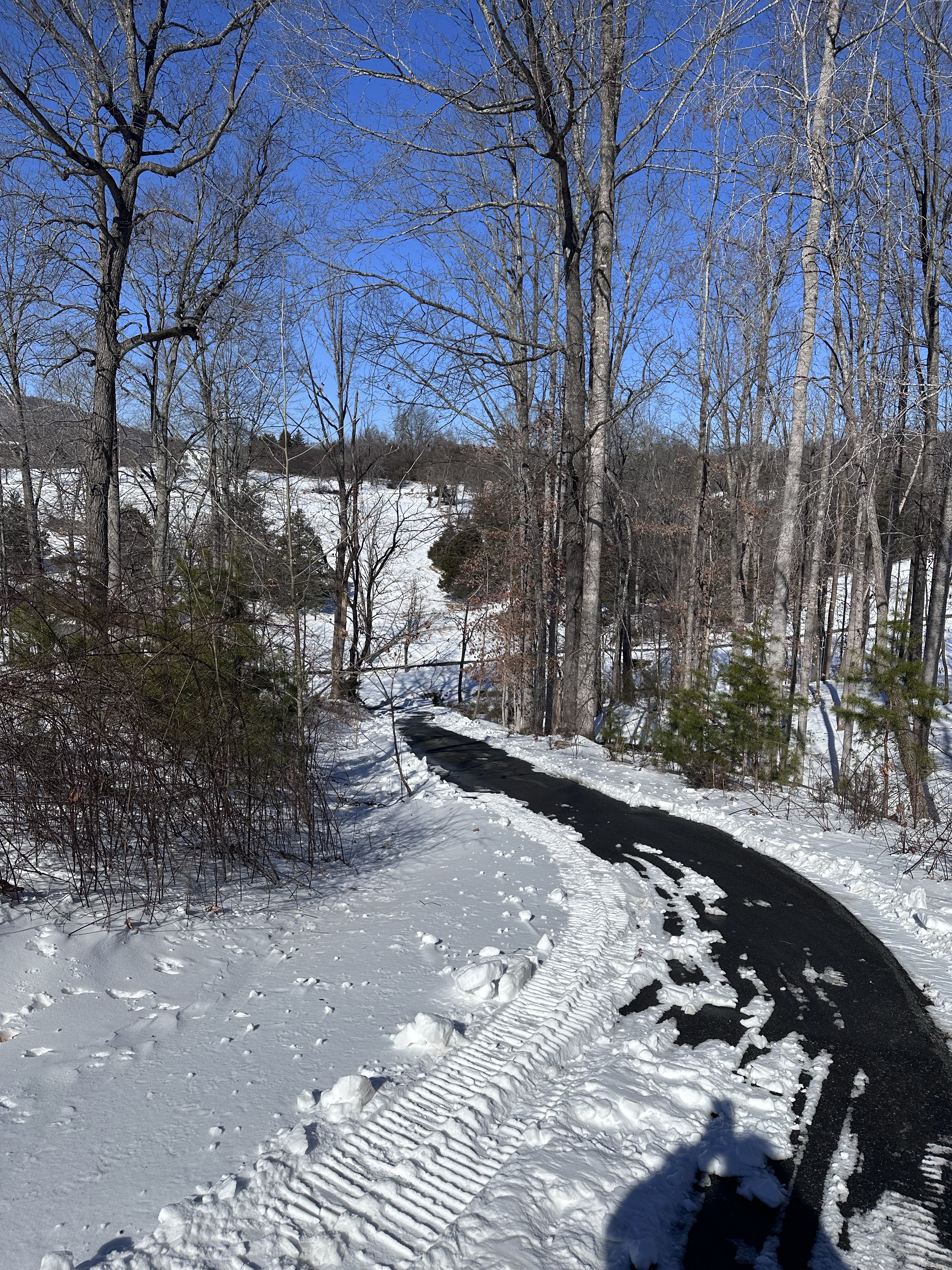 day 378 | like mercury colliding...